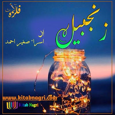 Zanjabeel Novel by Nimra Ahmed Complete PDF ️